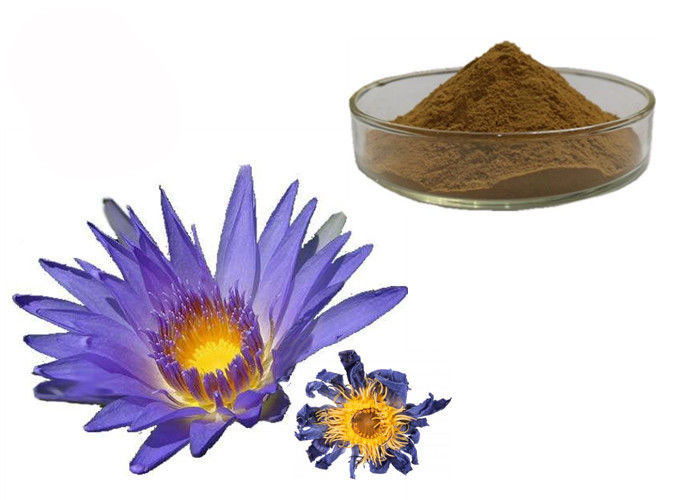 Nymphaea Caerulea Flower Powder Blue Lotus Organic Herbal Extracts